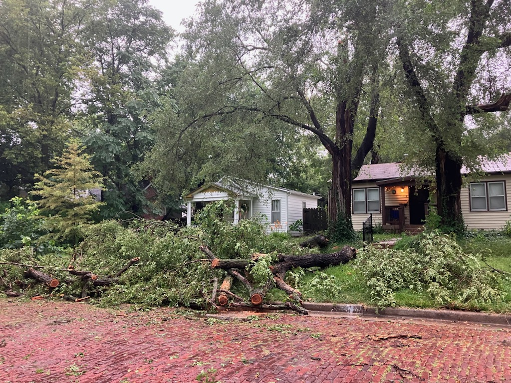 Severe storm with 75 mph wind gusts sweeps through Douglas County ...